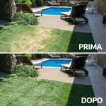 aquagrazz - Le migliori offerte